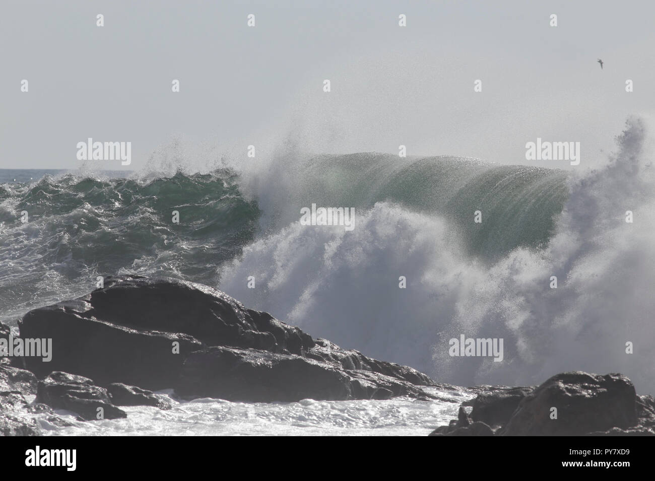 Wave crashing water droplets hi-res stock photography and images - Alamy