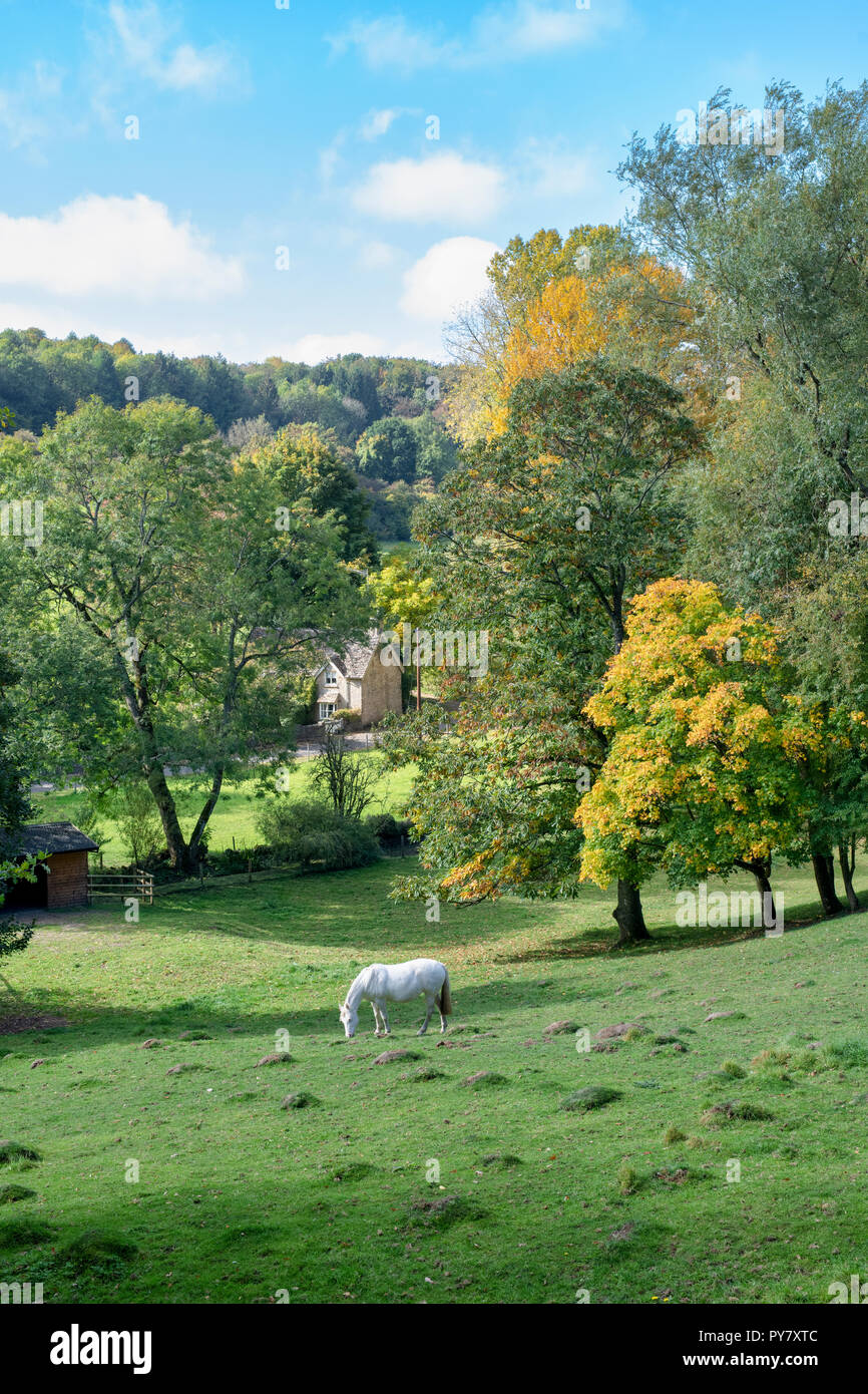 Bagendon hi-res stock photography and images - Alamy