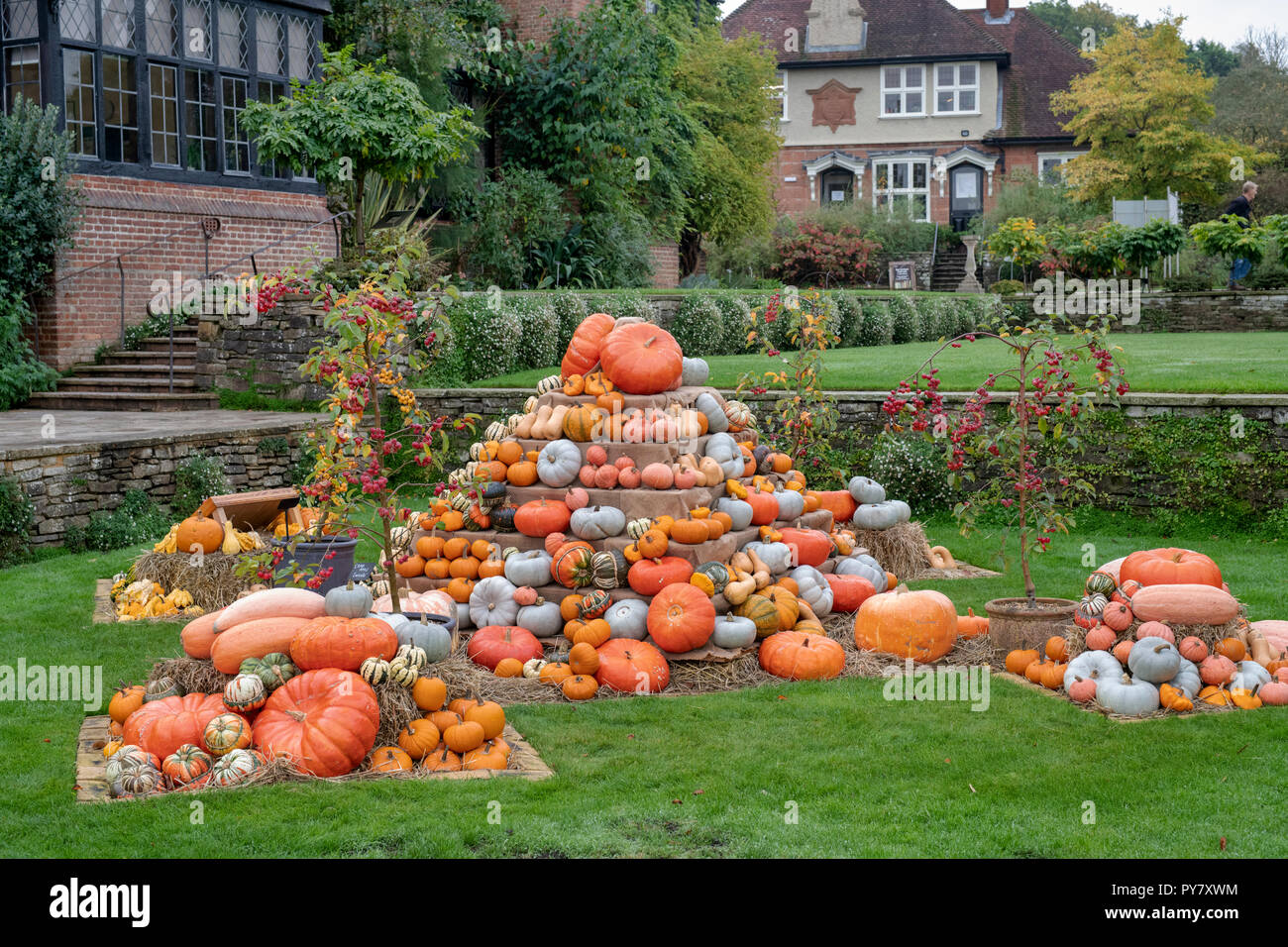 Pumpkin display at the RHS Wisley Autumn Show. RHS Wisley gardens ...