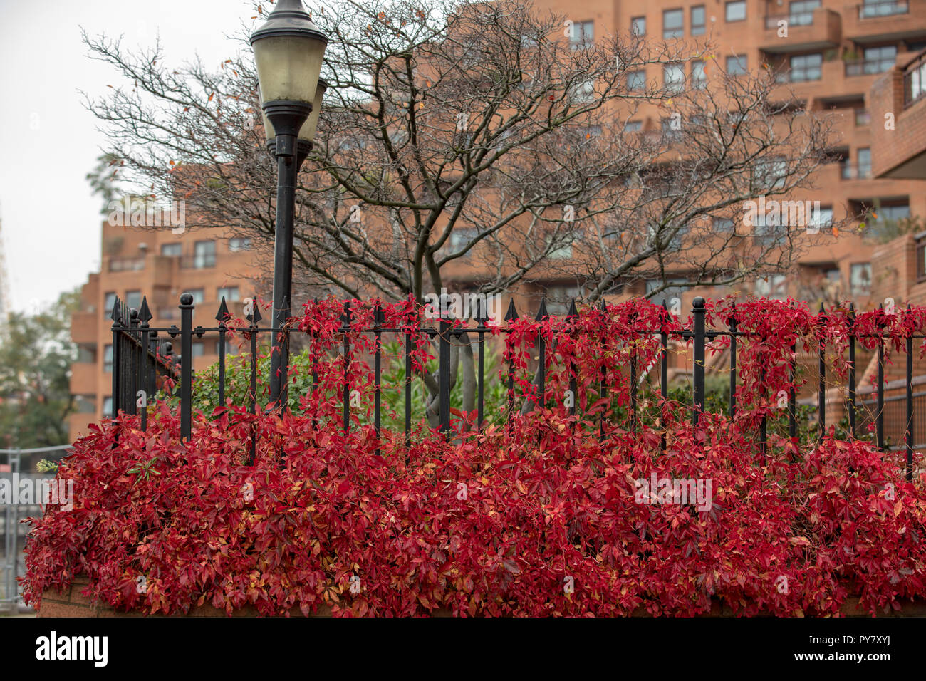 The Thames path gives the opportunity for walking and cycling along the ...