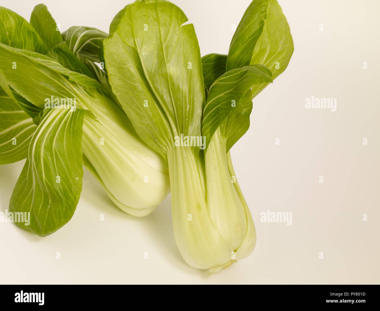 Pok Choi, Chinese vegetable, greens Stock Photo - Alamy