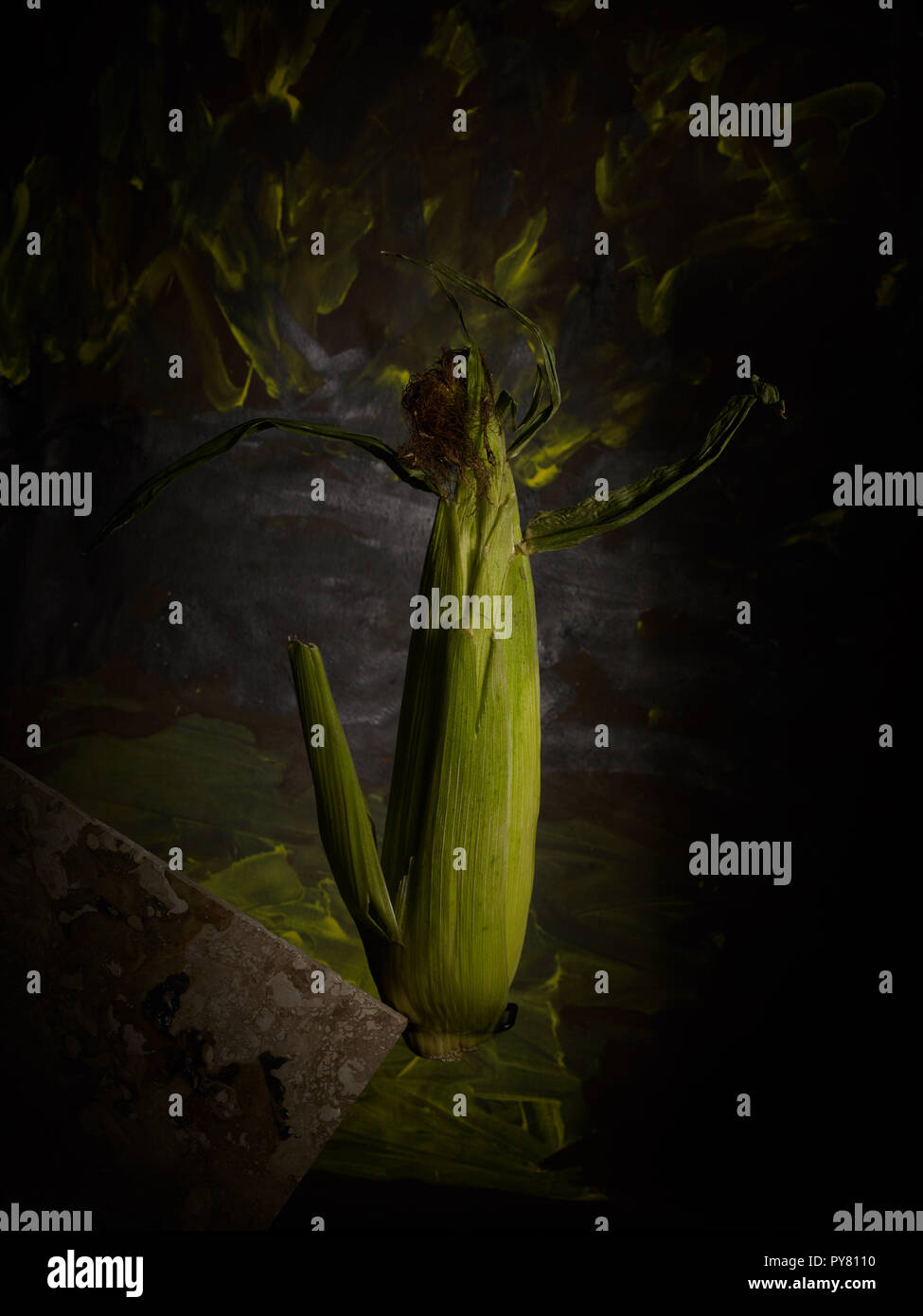 Single corn cob, maize, still-life Stock Photo - Alamy