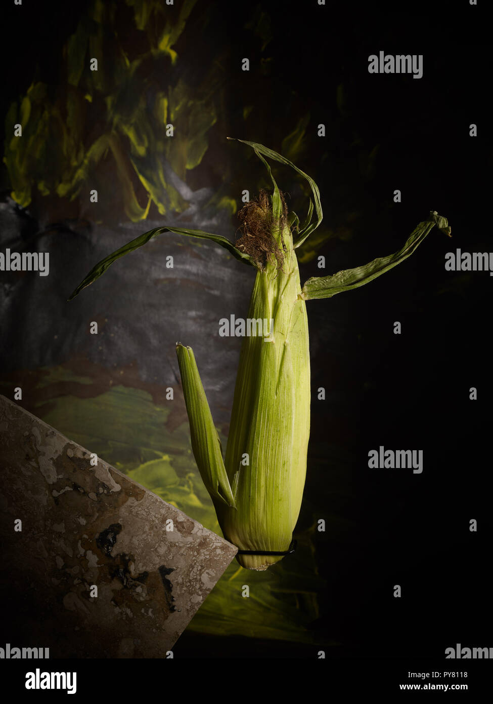 Single corn cob, maize, still-life Stock Photo - Alamy