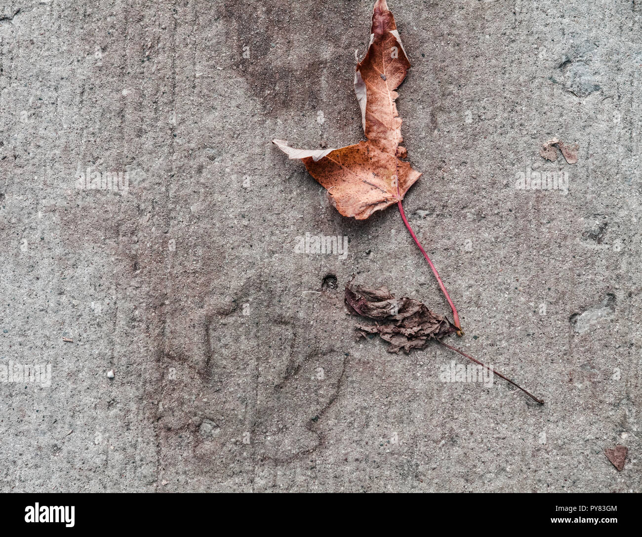 War torn countries hi-res stock photography and images - Alamy