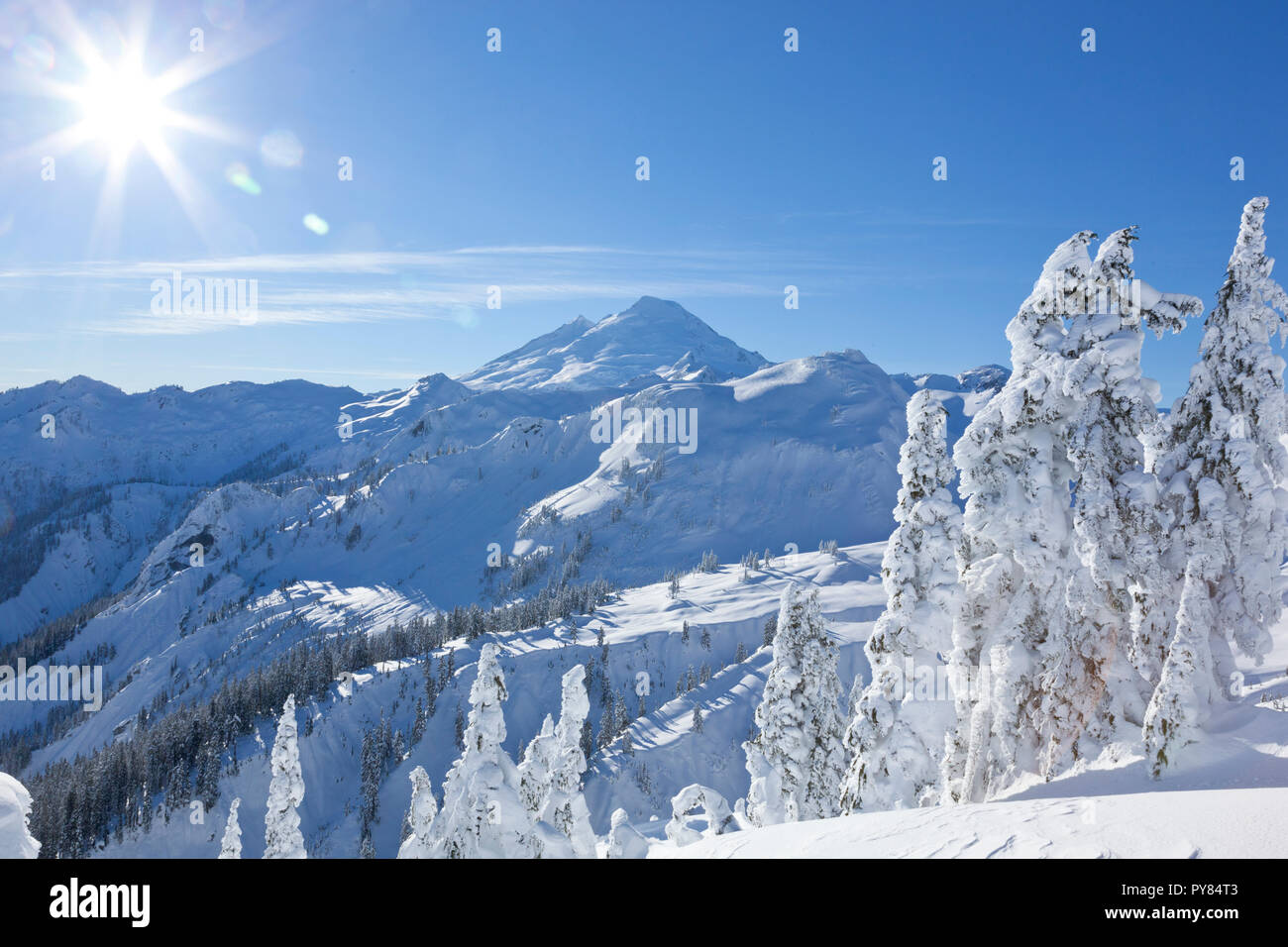 Mount Baker mountain peak summit treeline in winter snow. Beautiful ...