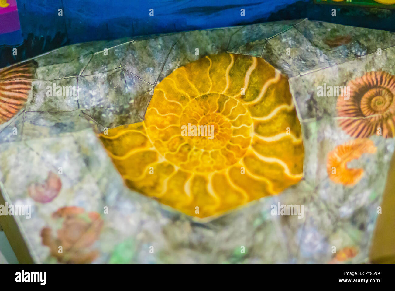 Ammonites are perhaps the most widely known fossil. The earliest ...