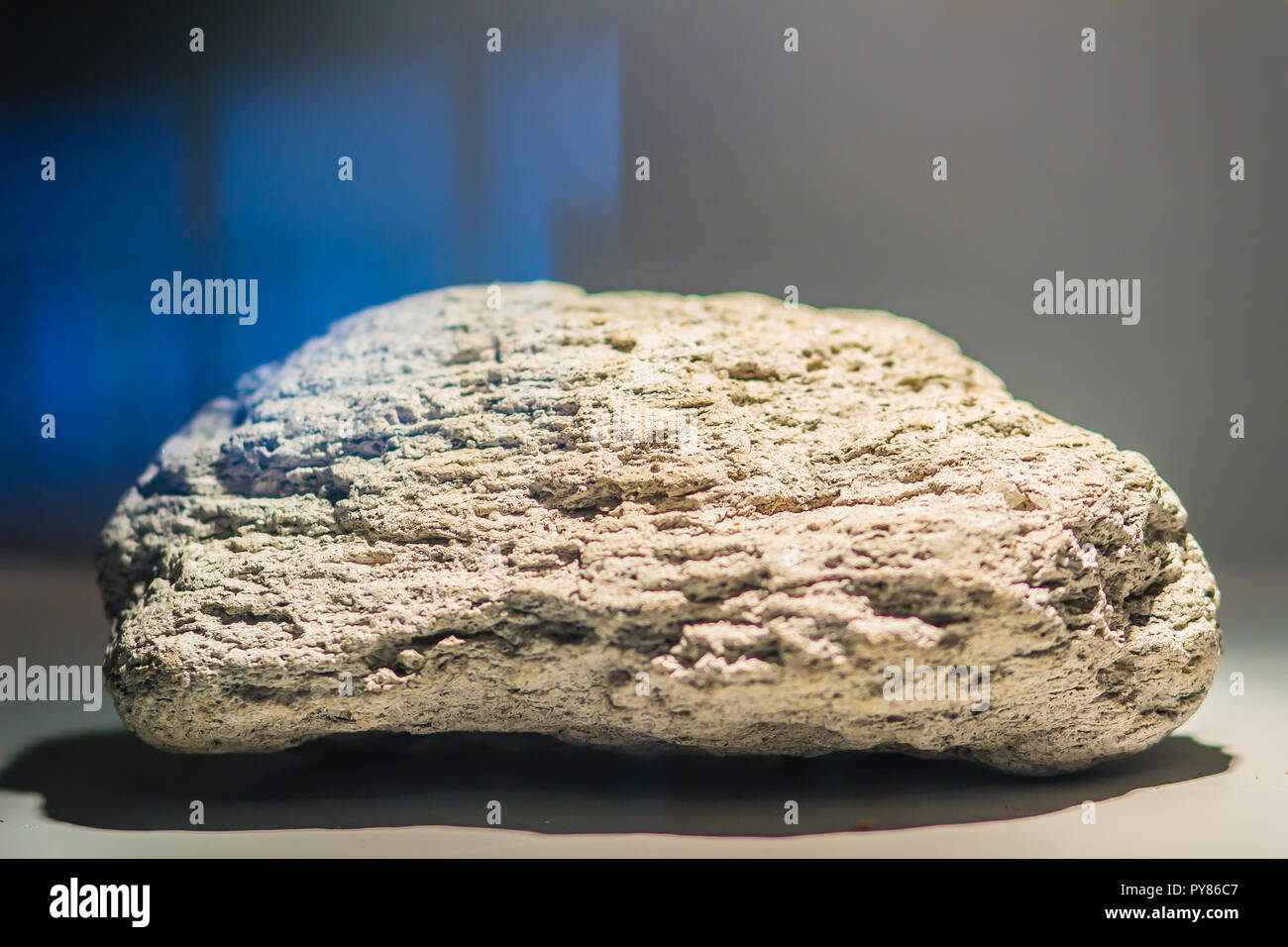 Pumice or pumicite stone specimen for education. Pumice is a volcanic ...