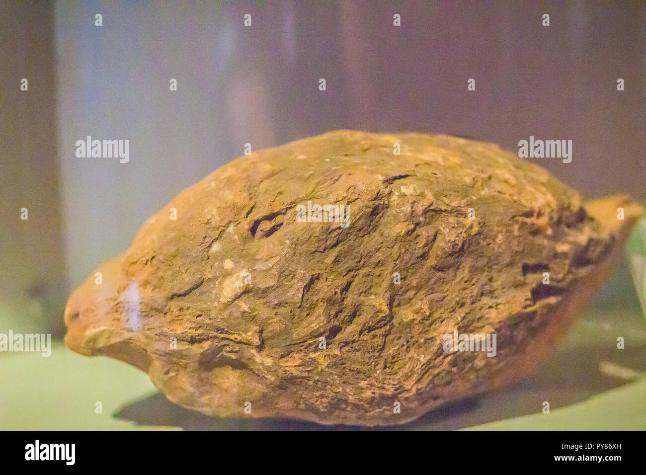 A volcanic bomb stone specimen with grain noise background. Volcanic ...