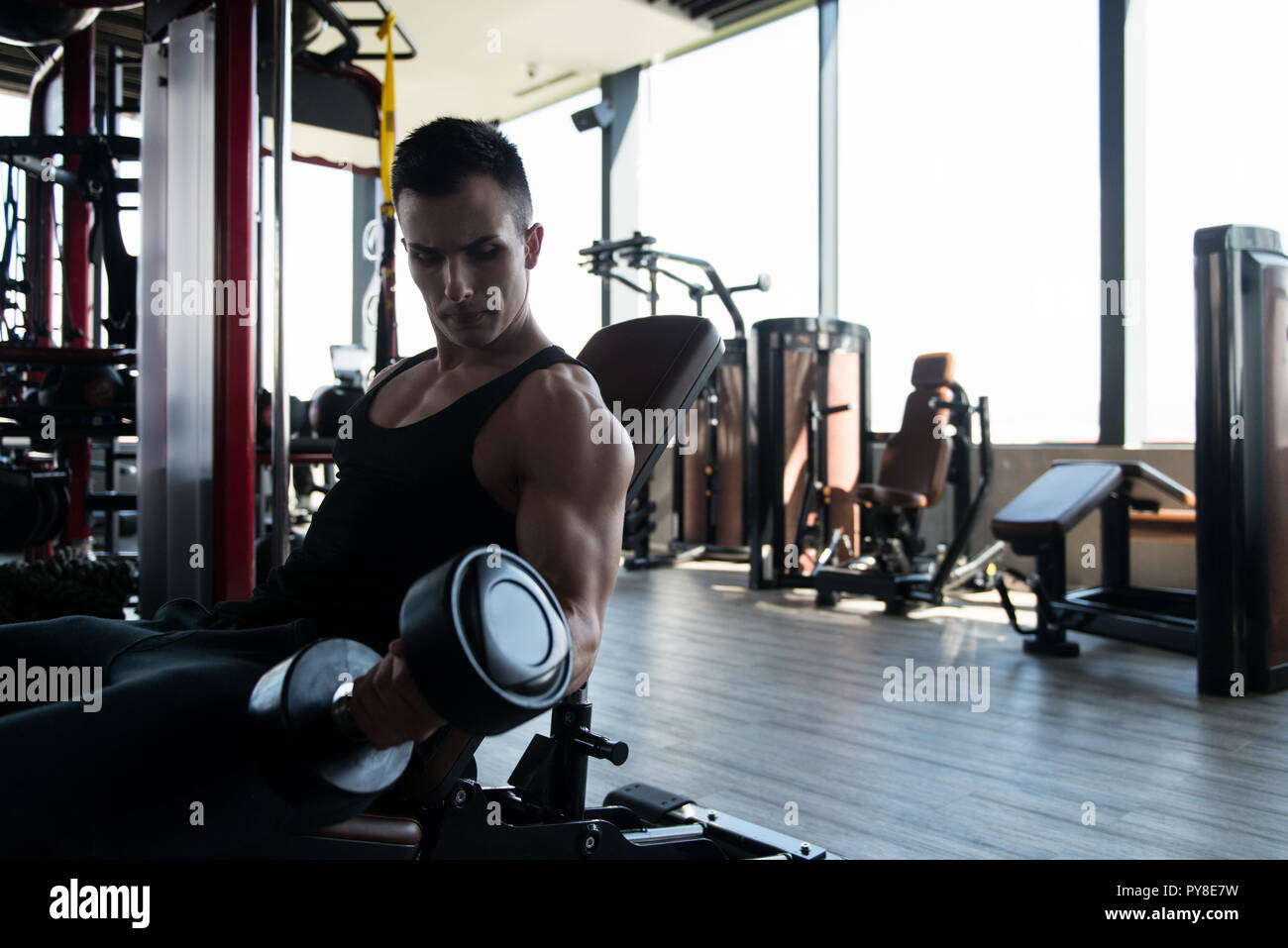 Man Working Out Biceps In A Gym - Dumbbell Concentration Curls Stock ...