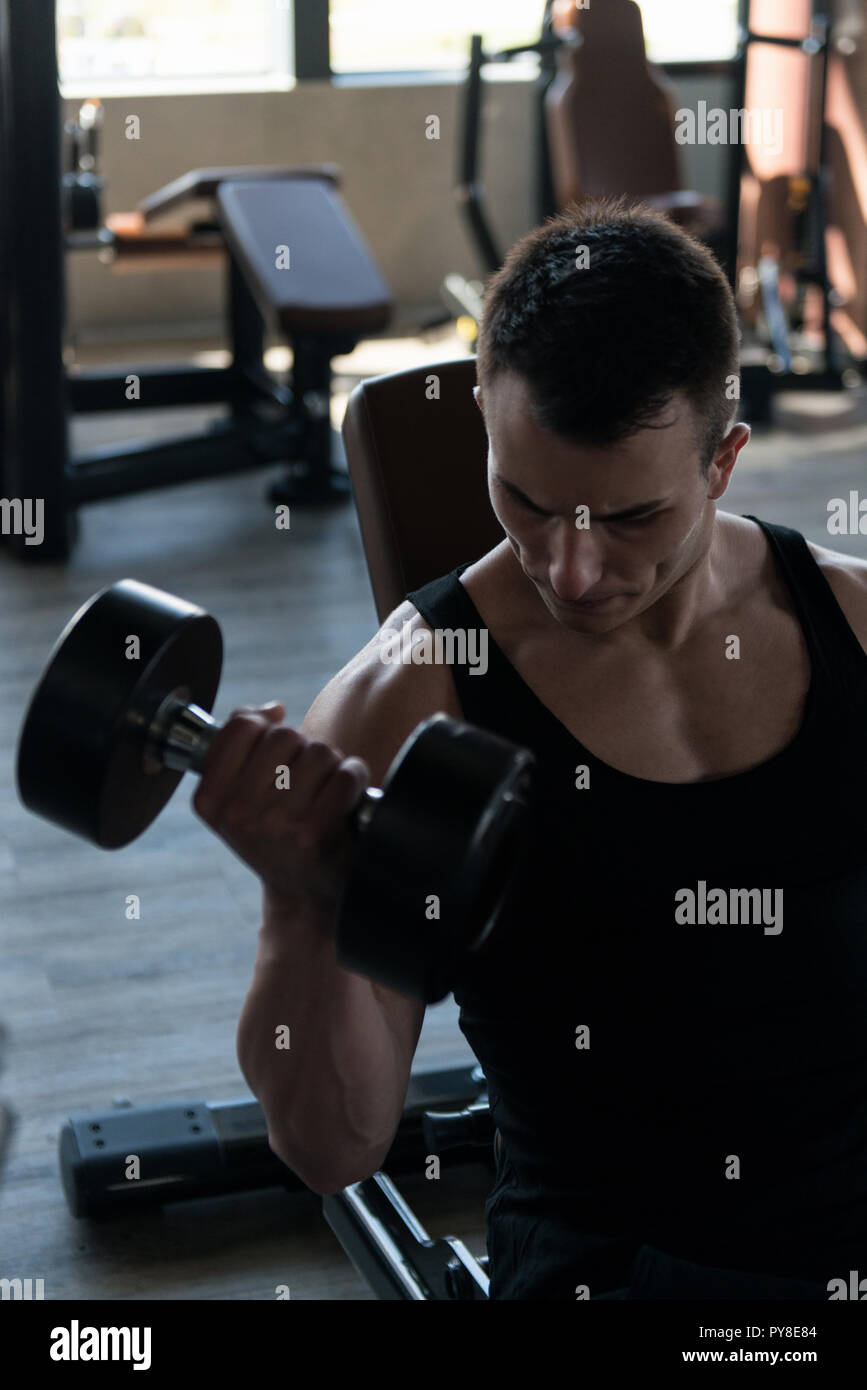 Athlete Working Out Biceps In A Gym - Dumbbell Concentration Curls ...