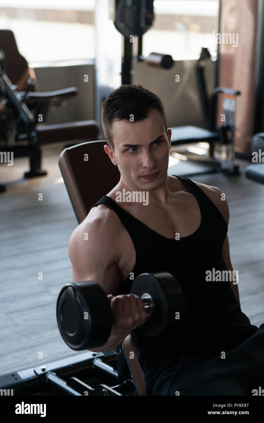 Man Working Out Biceps In A Gym - Dumbbell Concentration Curls Stock ...
