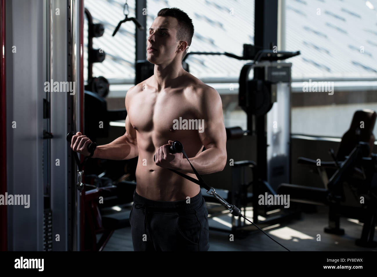 Man In The Gym Exercising On His Biceps On Machine With Cable In The ...