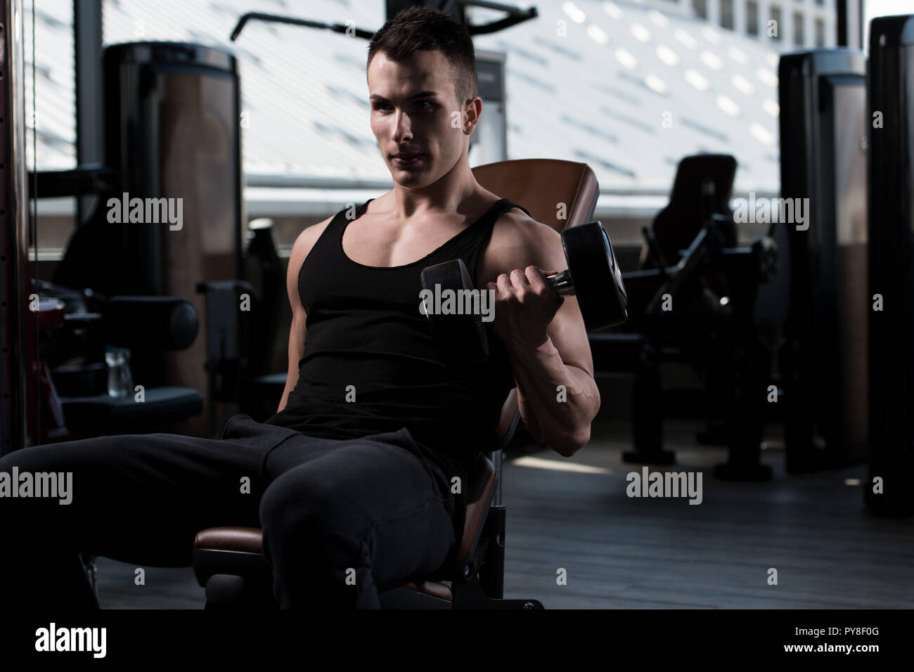 Man Working Out Biceps In A Gym - Dumbbell Concentration Curls Stock ...