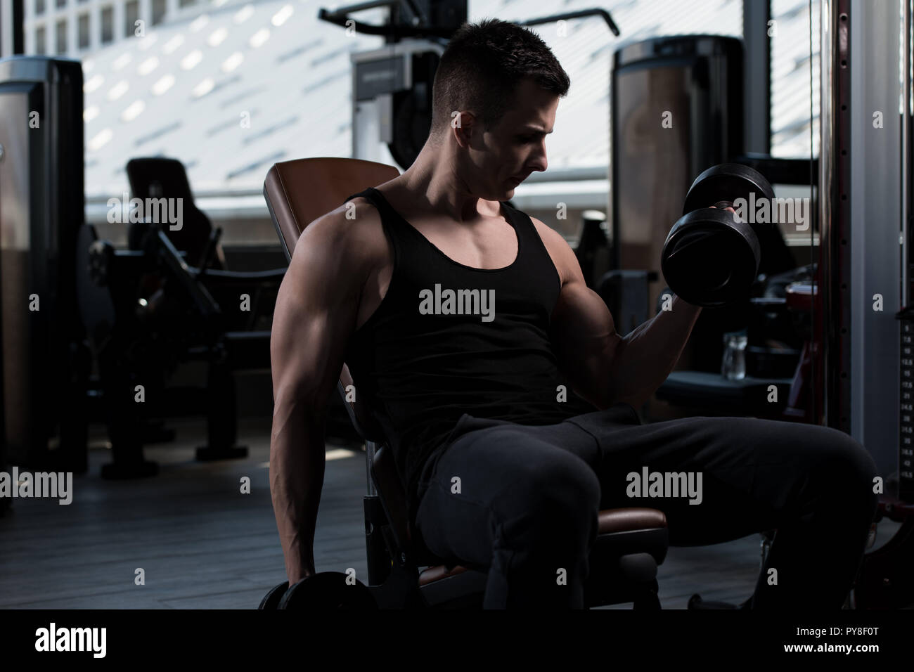 Athlete Working Out Biceps In A Gym - Dumbbell Concentration Curls Stock Photo - Alamy