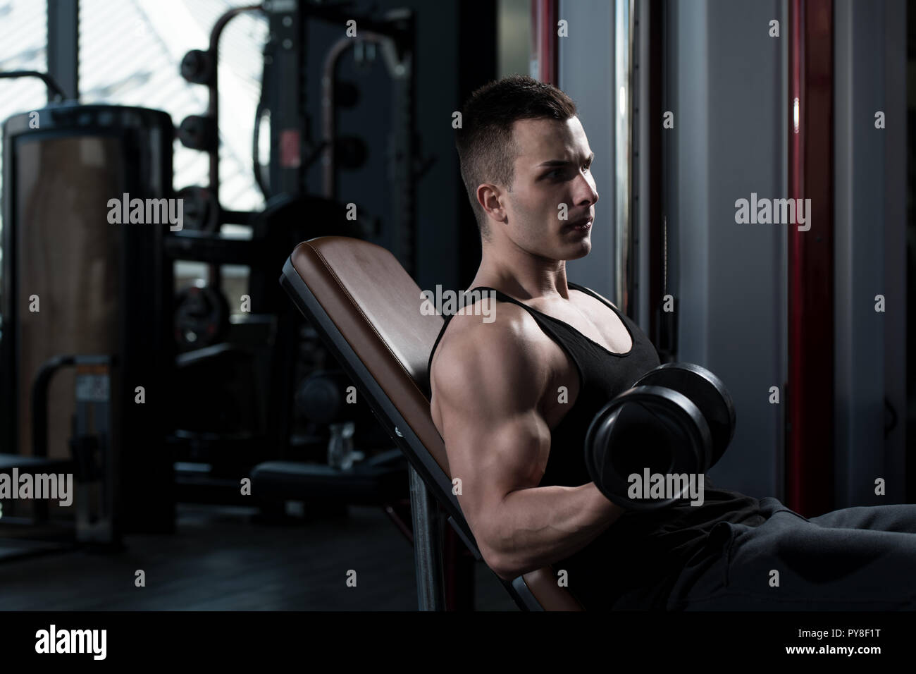 Athlete Working Out Biceps In A Gym - Dumbbell Concentration Curls ...