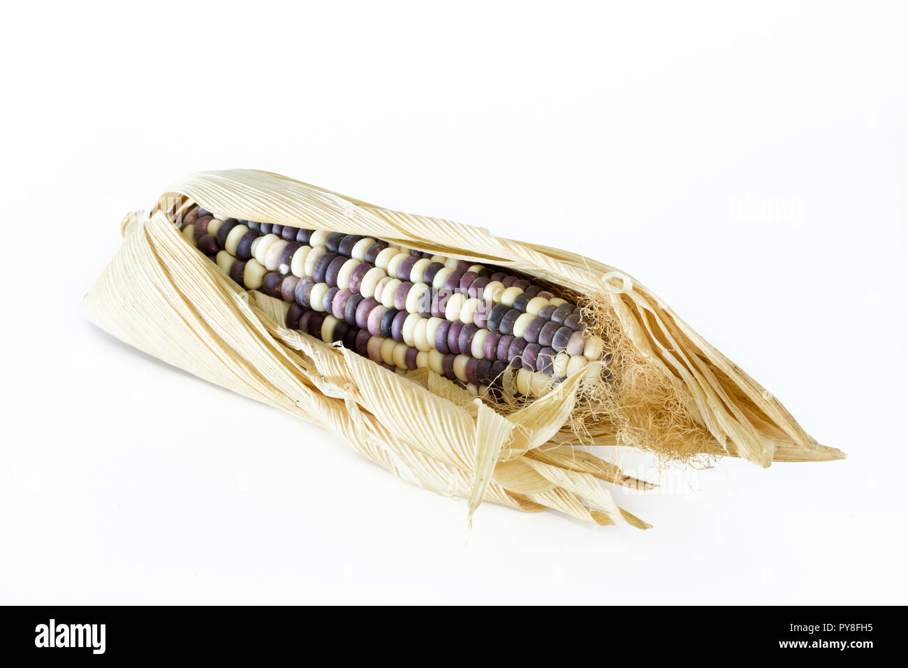 Dried maize hi-res stock photography and images - Alamy
