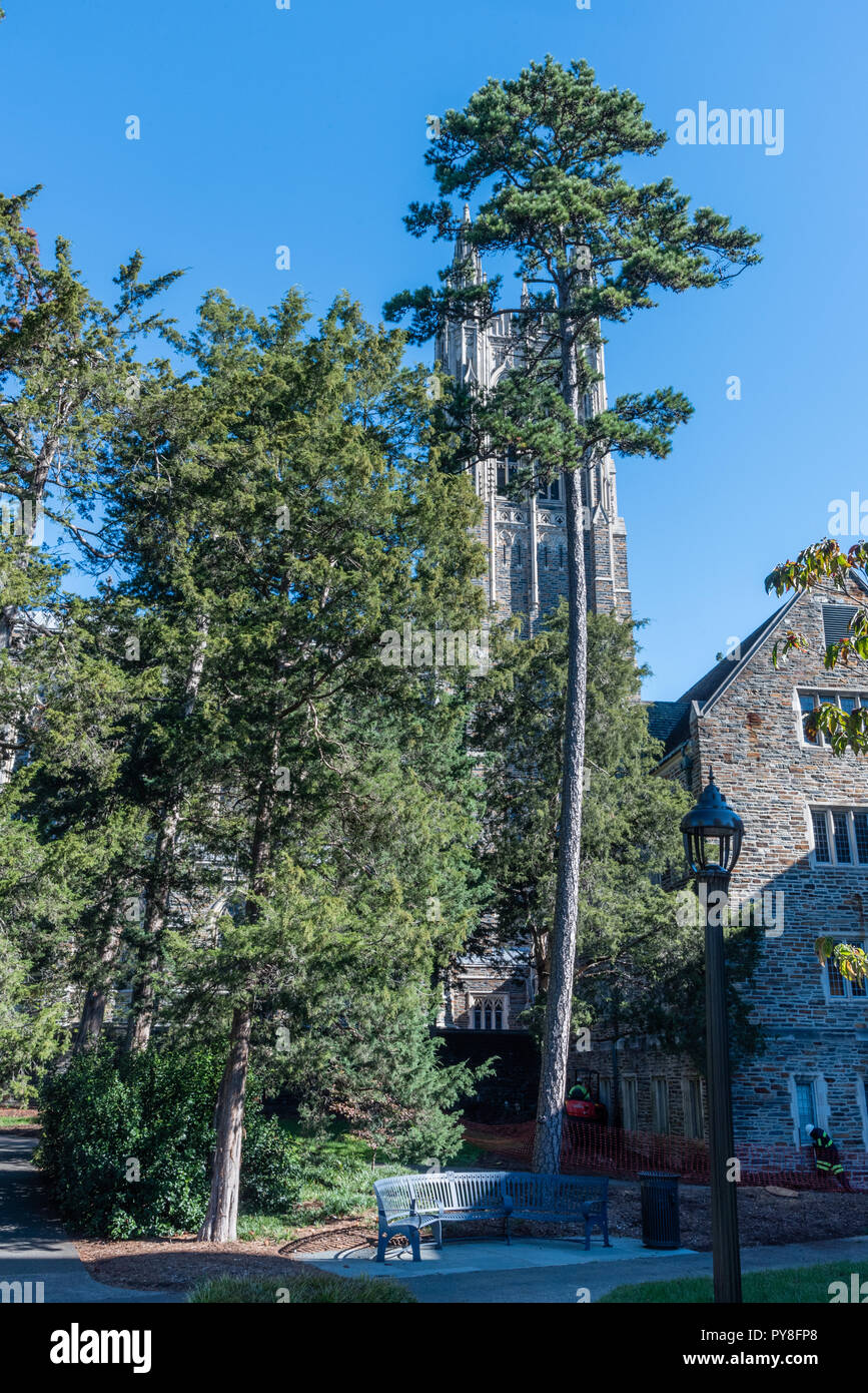 Side view of the Duke Chapel tower in early fall, Durham, North ...
