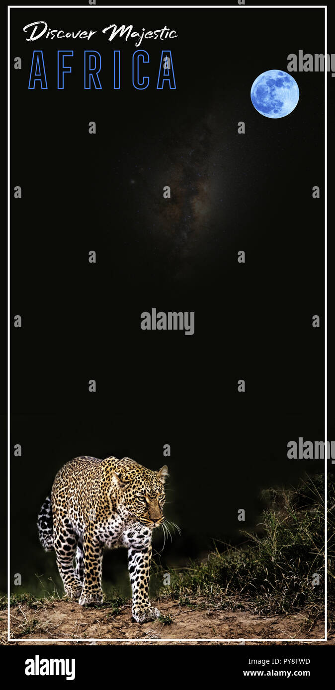 Full moon night jungle hi-res stock photography and images - Alamy