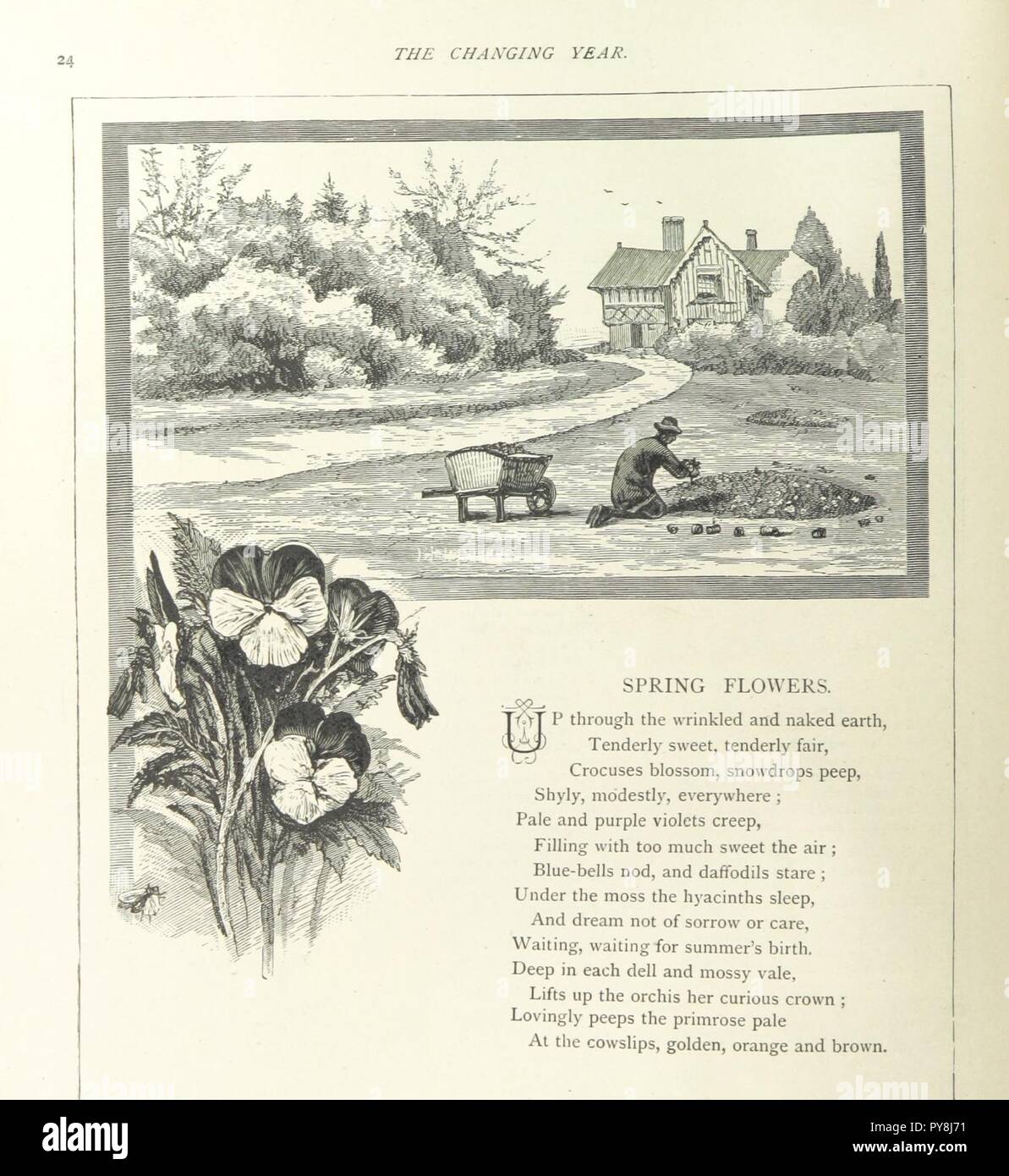 page 30 of 'The Changing Year being poems and pictures of life and ...