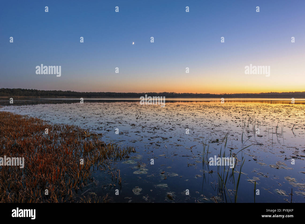 Moon waters hi-res stock photography and images - Alamy