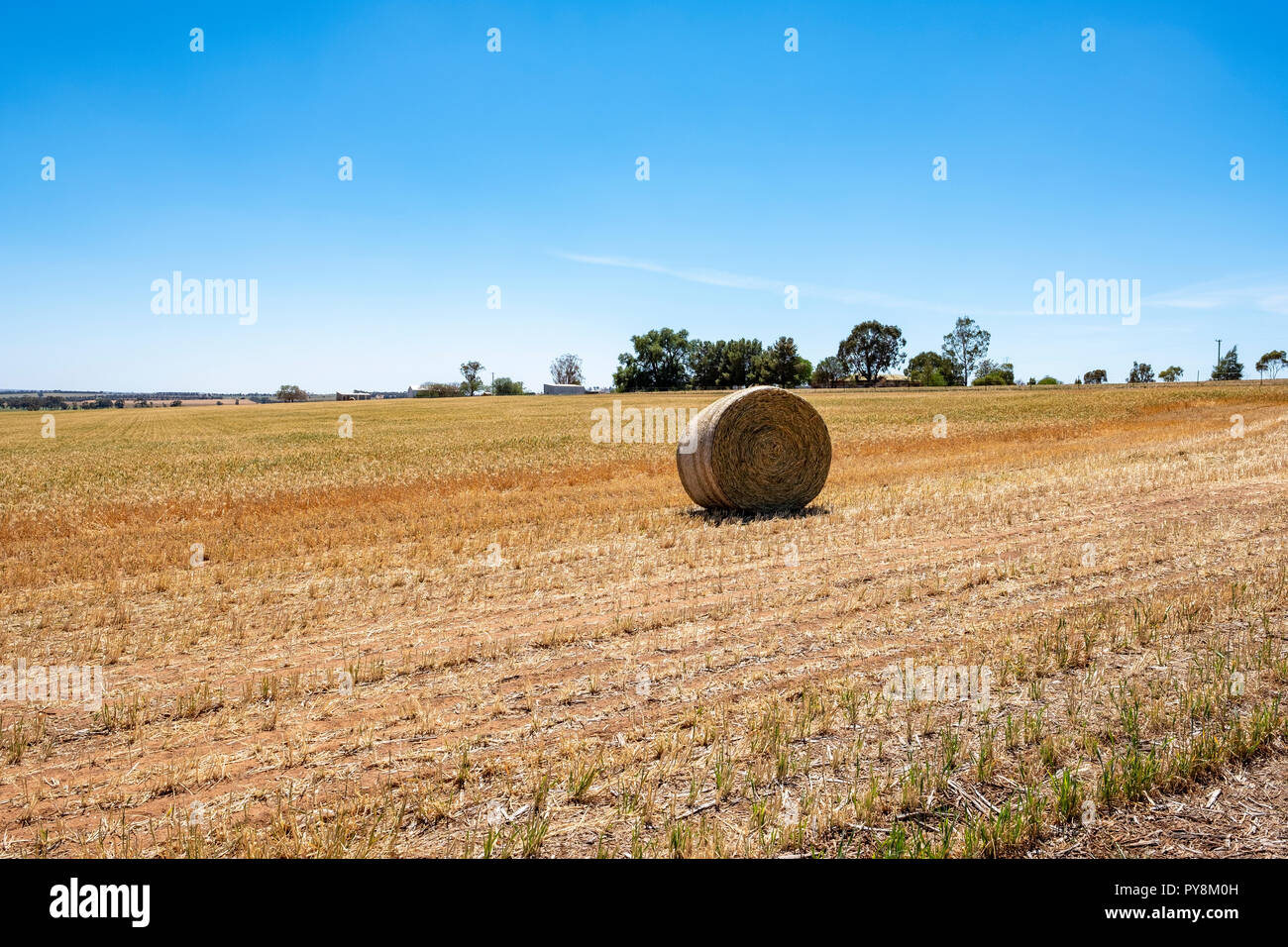 Countryside and farming between Junee and Wagga Wagga in the Riverina ...