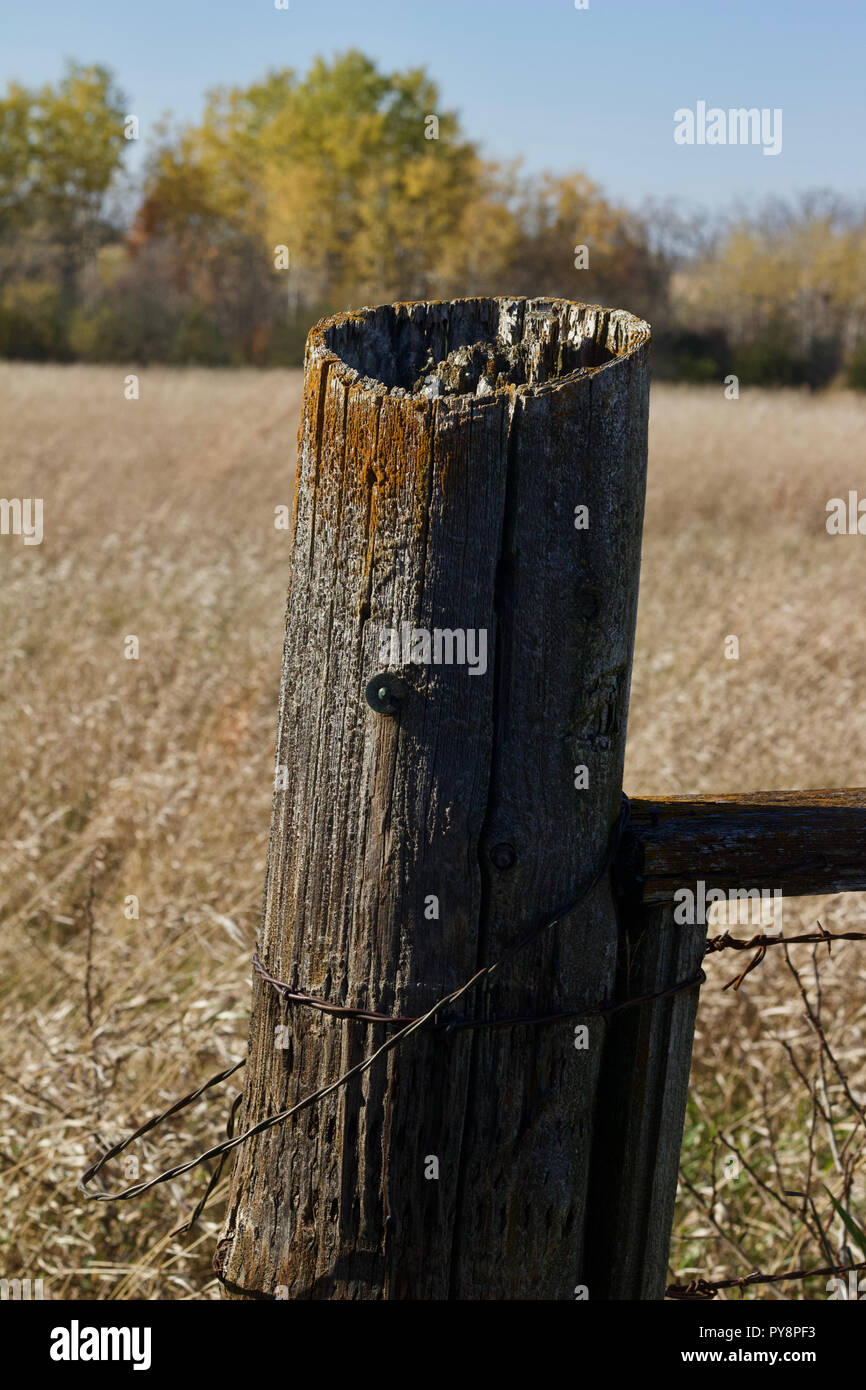 Weathered Old Wooden Fence Post With Barbed Wire High Resolution Stock ...