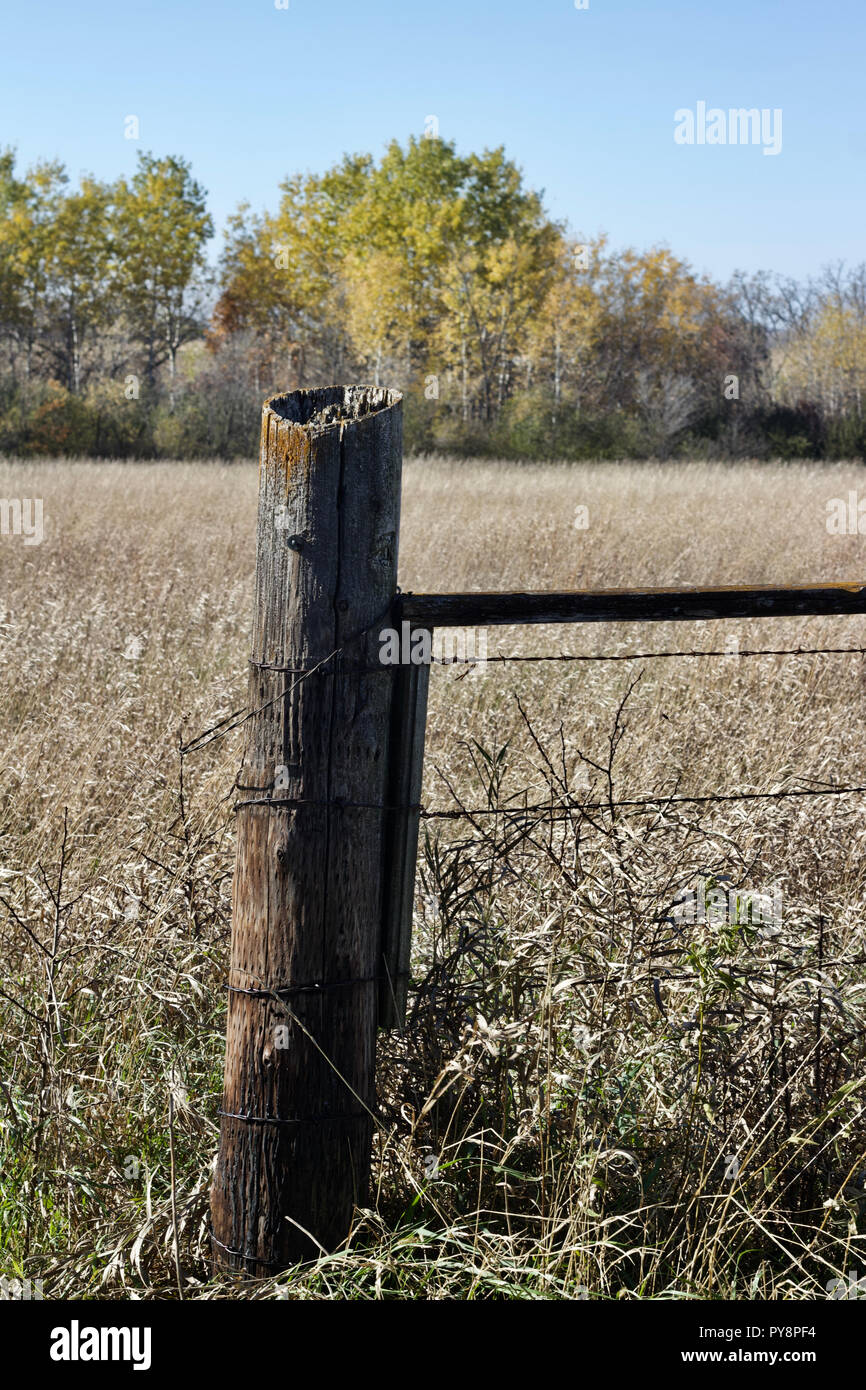 Weathered Old Wooden Fence Post With Barbed Wire High Resolution Stock ...