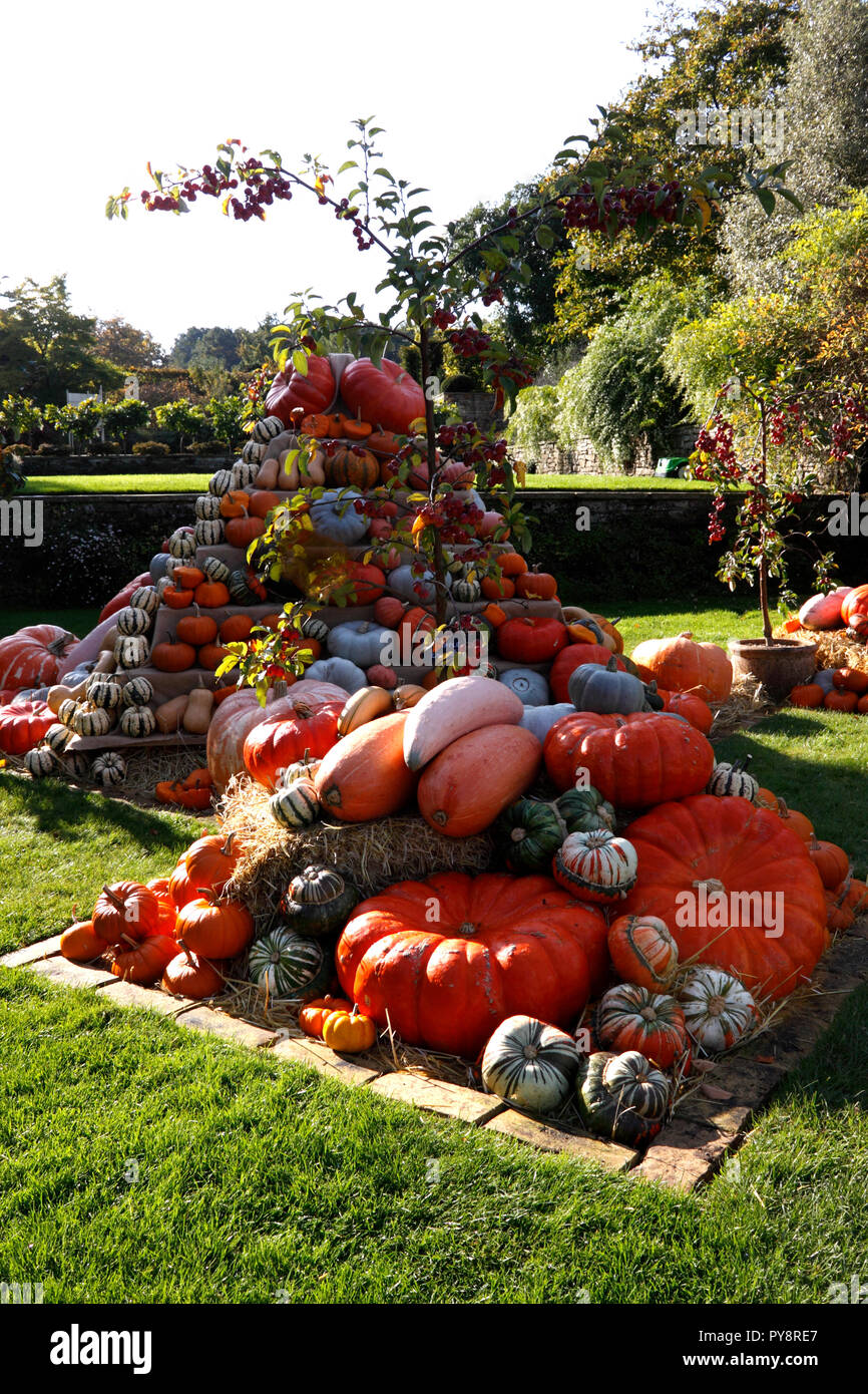 RHS WISLEY AUTUMN PUMPKIN AND SQUASH DISPLAY Stock Photo - Alamy