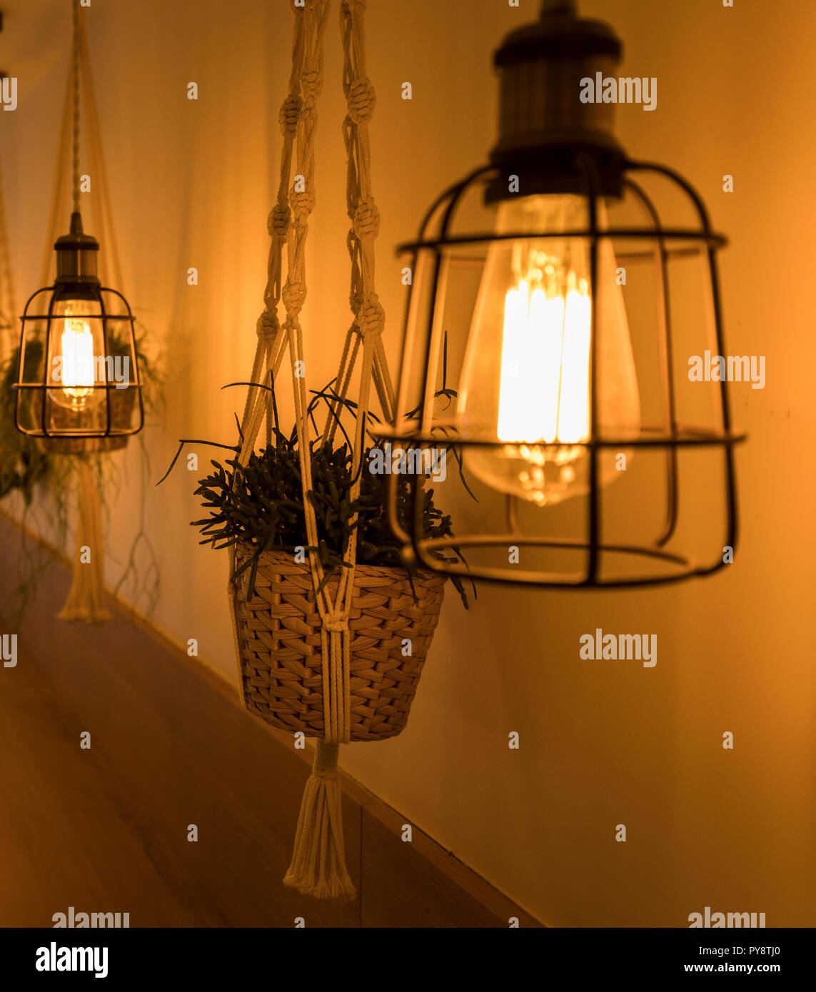 Hanging plant and light-bulb decorations Stock Photo - Alamy