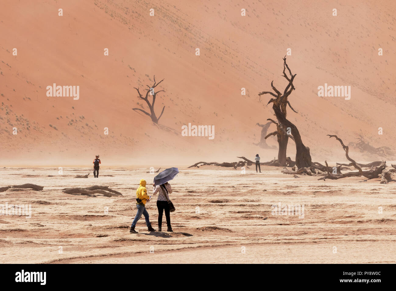 Deadvlei Namibia tourists - tourists sheltering from a small sandstorm ...
