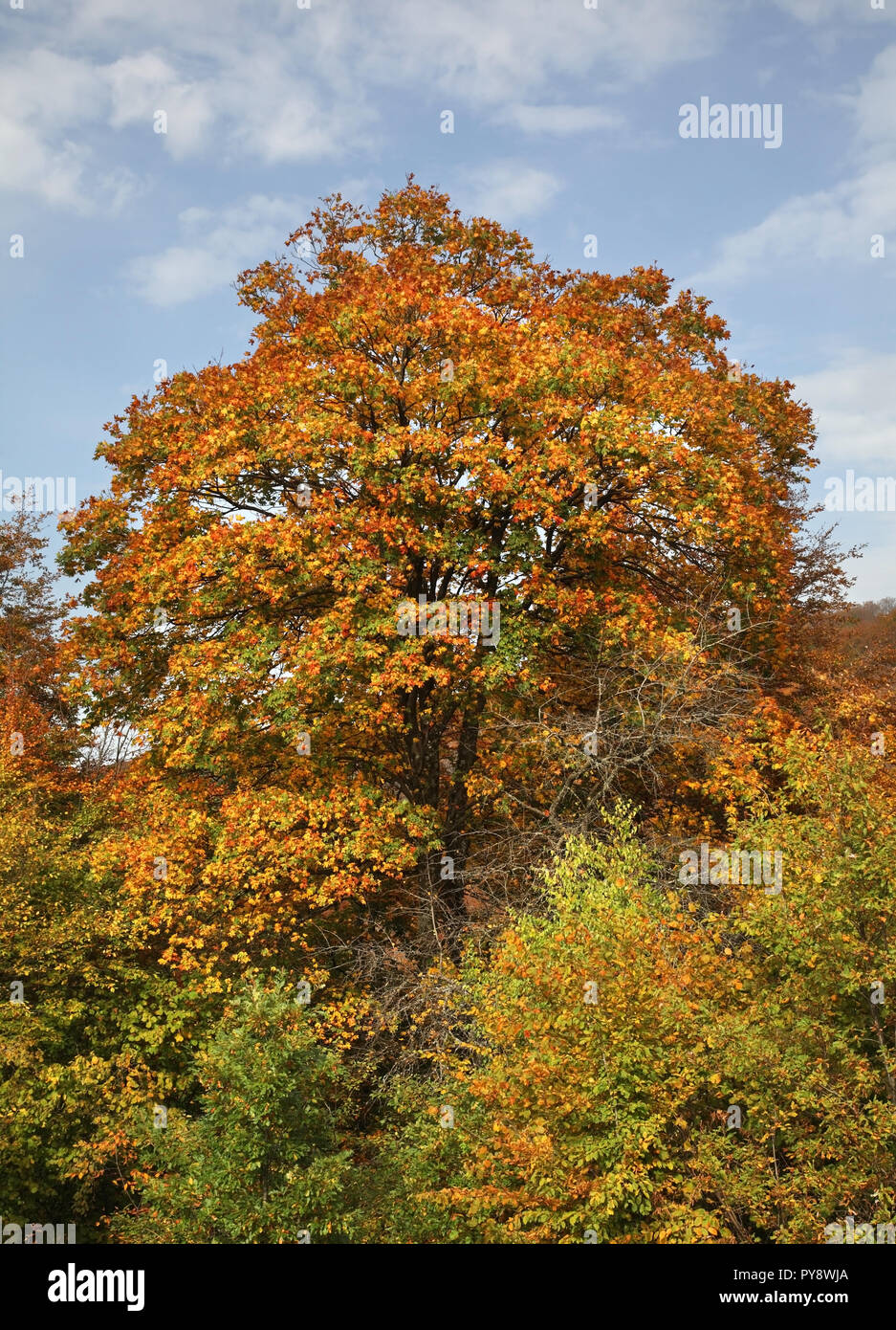 Radan hi-res stock photography and images - Alamy