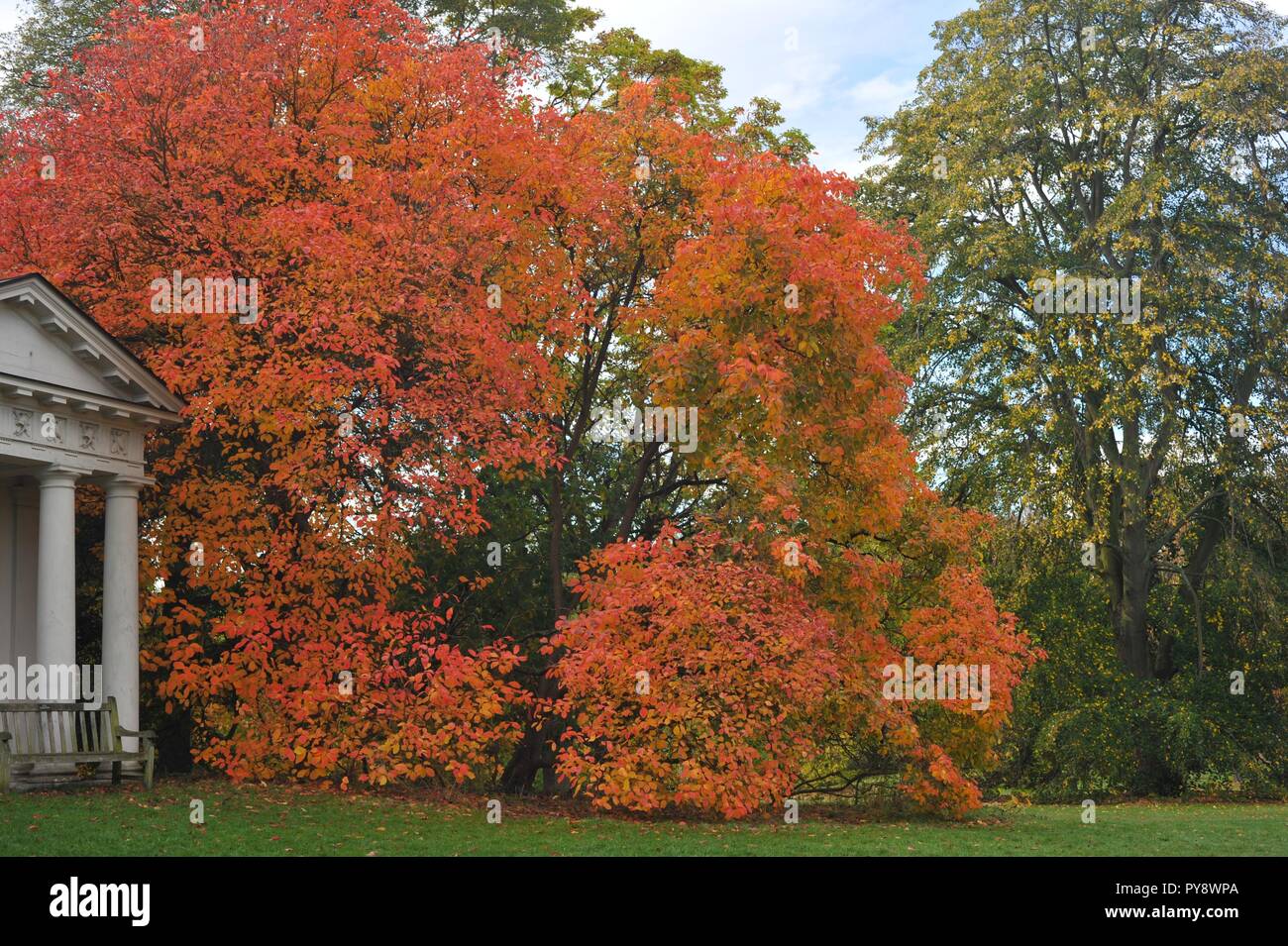 Glorious autumn colours Stock Photo - Alamy