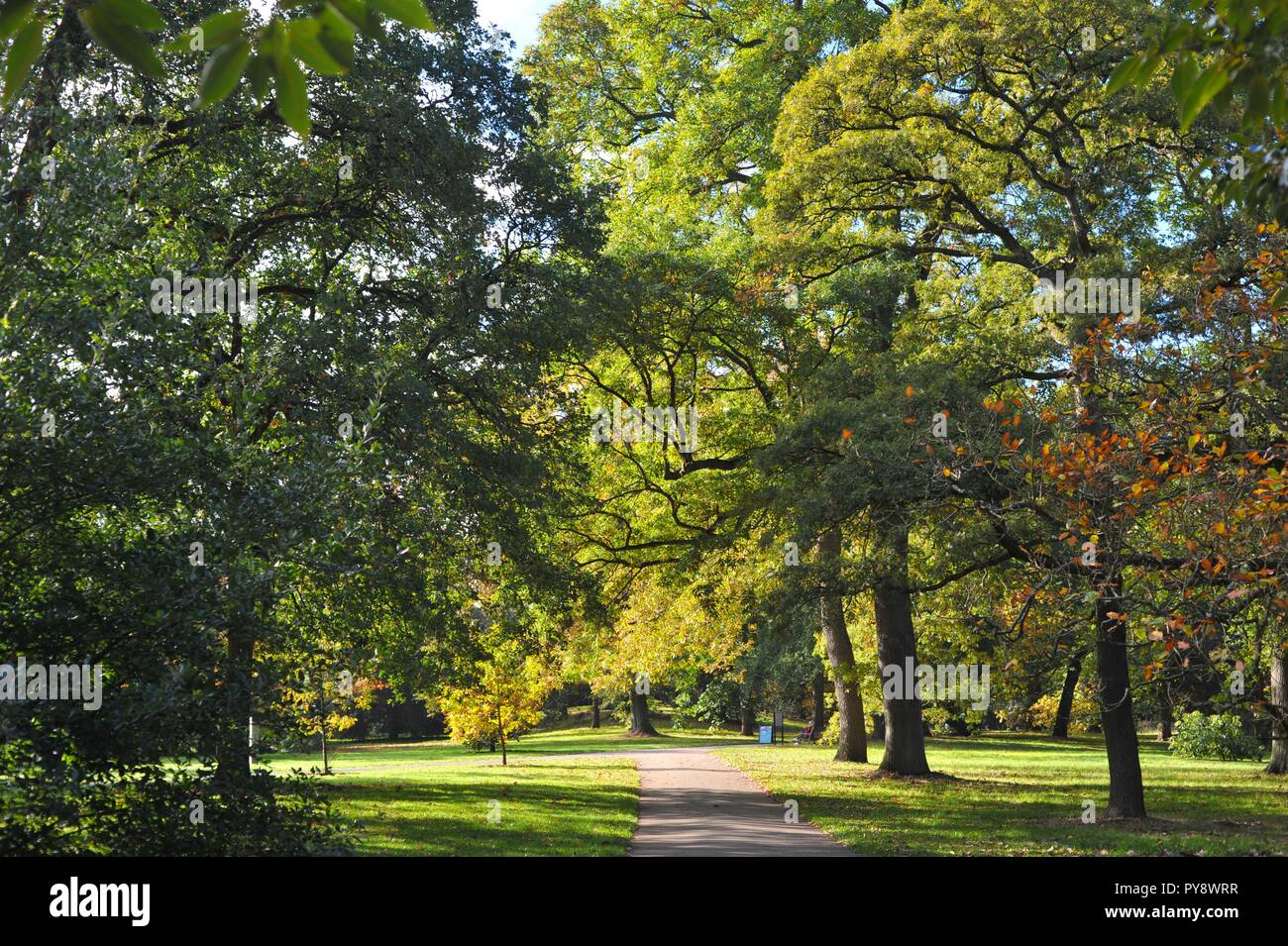 Glorious autumn colours Stock Photo - Alamy