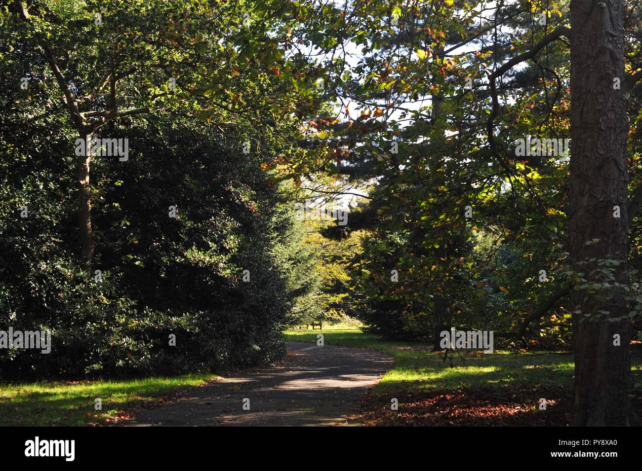 Glorious autumn colours Stock Photo - Alamy