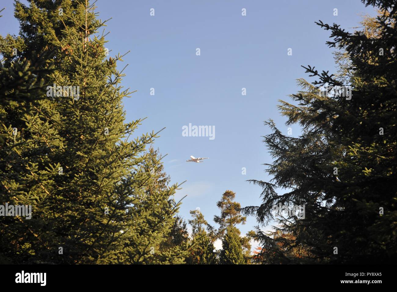 Glorious autumn colours Stock Photo - Alamy