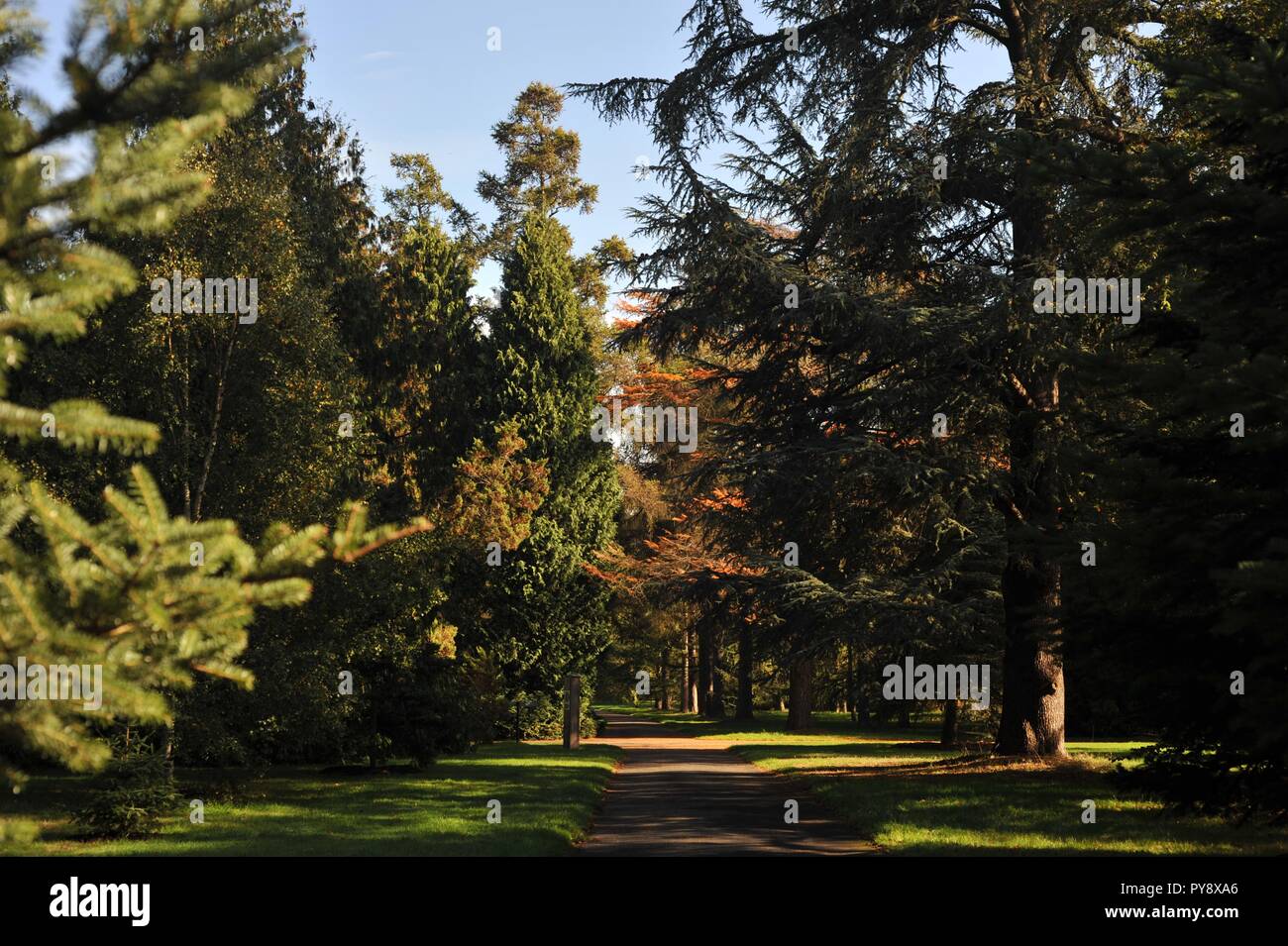 Glorious autumn colours Stock Photo - Alamy