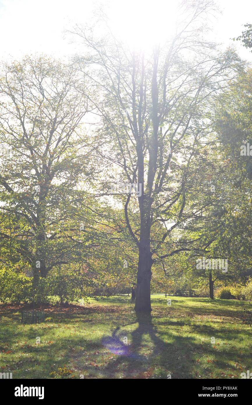 Glorious autumn colours Stock Photo - Alamy