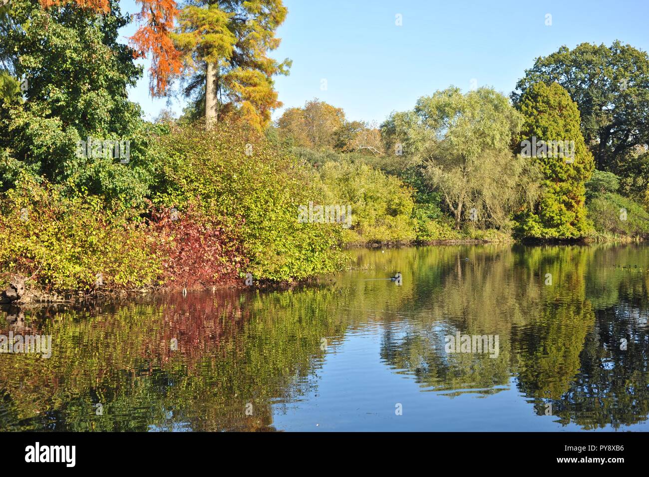 Glorious autumn colours Stock Photo - Alamy