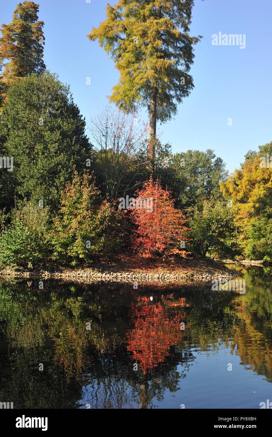 Glorious autumn colours Stock Photo - Alamy
