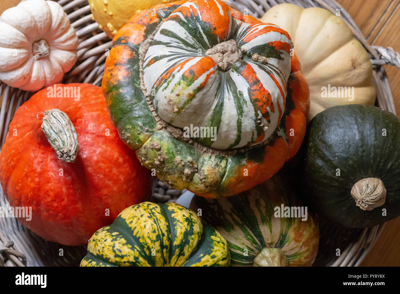 A collection of assorted colourful pumpkins including the bizarre ...