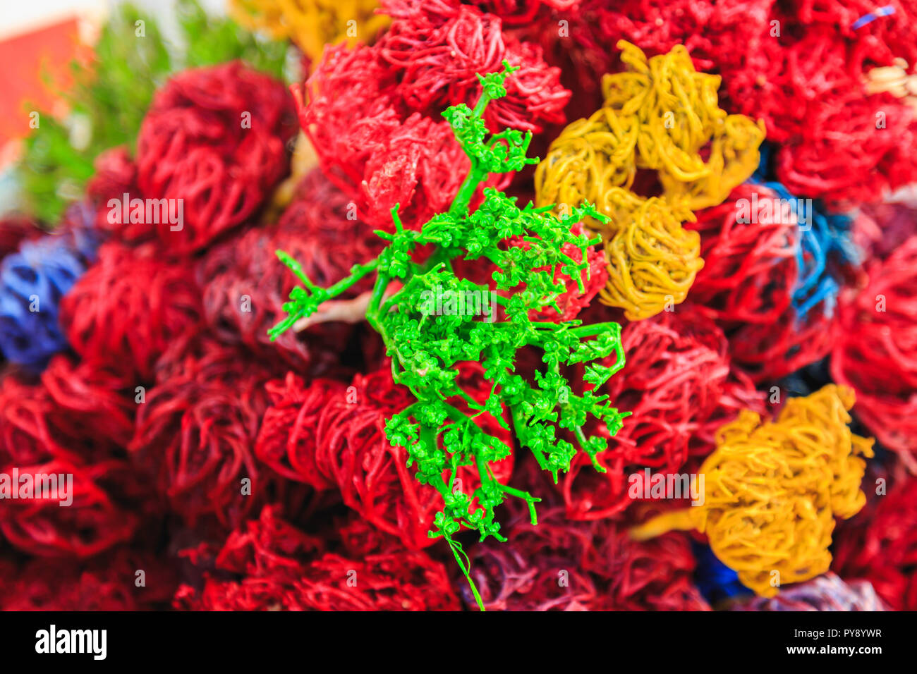 red blue green yellow colored dried algae, design elements, Seaweed ...