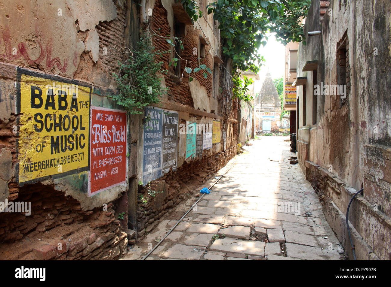 Translation: The narrow and colorful alley (plus cows) of Varanasi ...