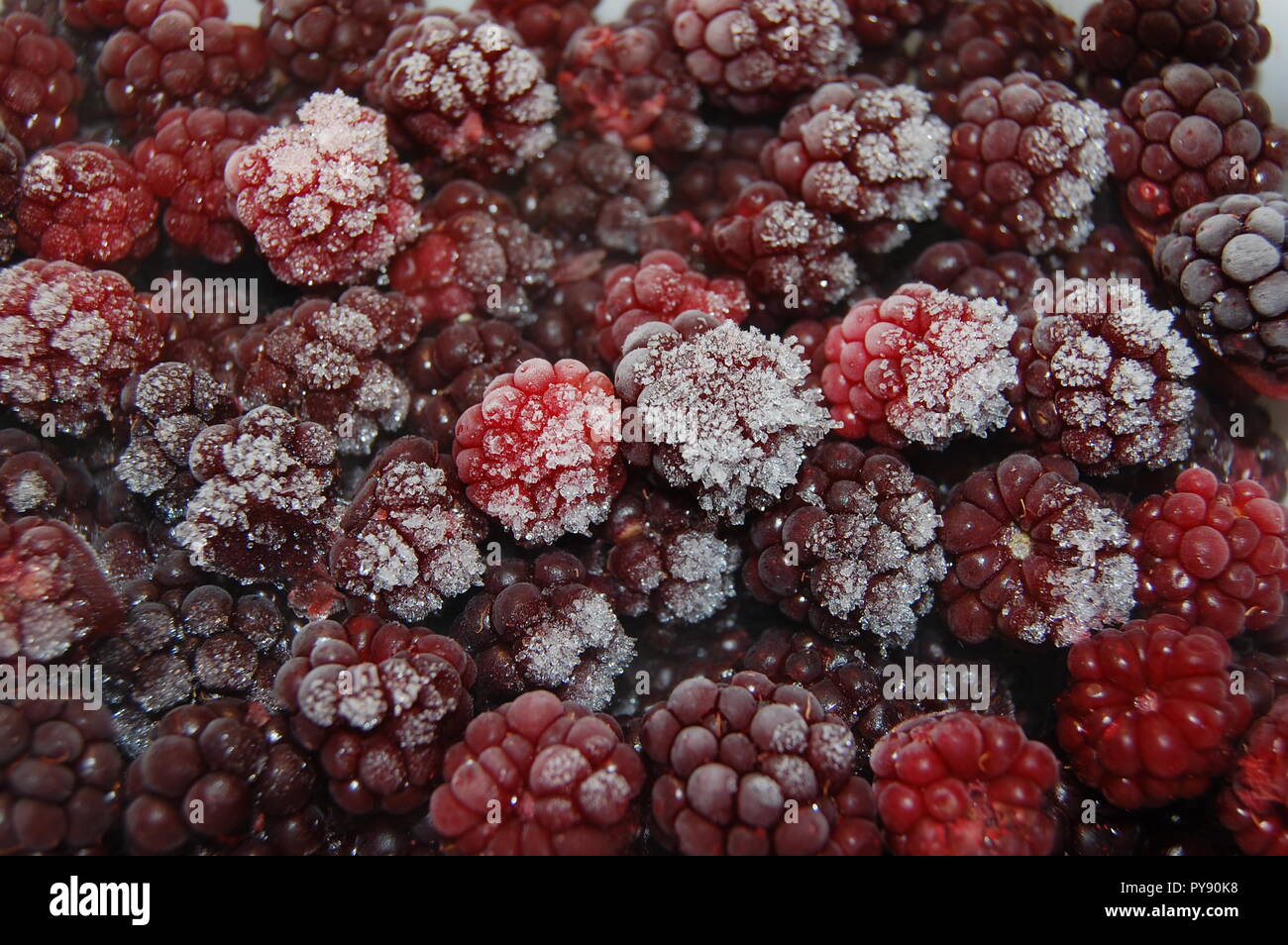 Frozen fruit Blackberries Stock Photo - Alamy
