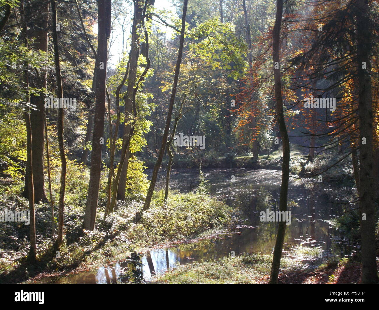 Croft castle hi-res stock photography and images - Alamy