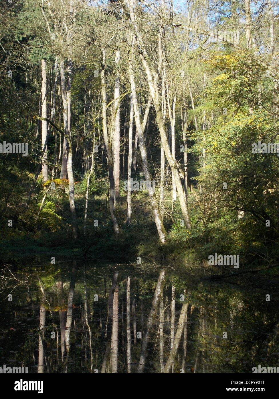 Croft castle hi-res stock photography and images - Alamy