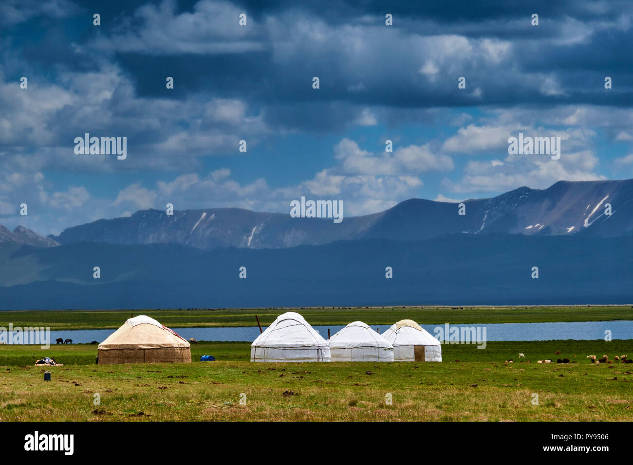 Kyrgyzstan, Naryn province, Song Kol lake, Kirghiz nomad's yurt camp ...