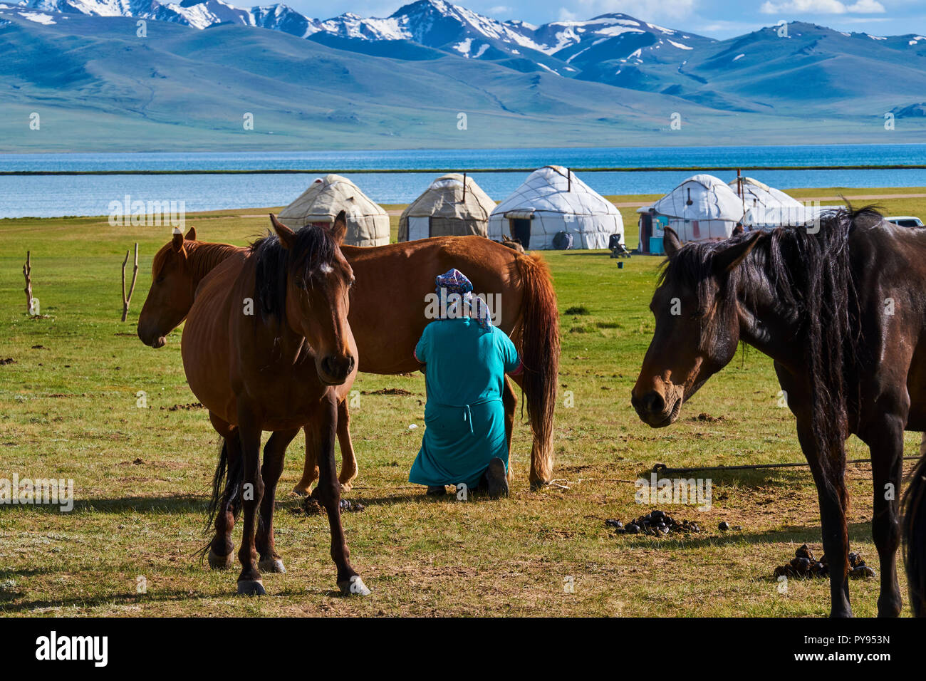 Kyrgyzstan, Naryn province, Song Kol lake, Kirghiz nomad's yurt camp ...