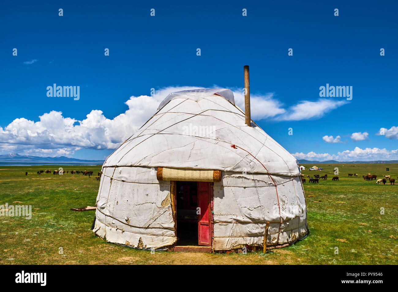 Kyrgyzstan, Naryn province, Song Kol lake, Kirghiz nomad's yurt camp ...