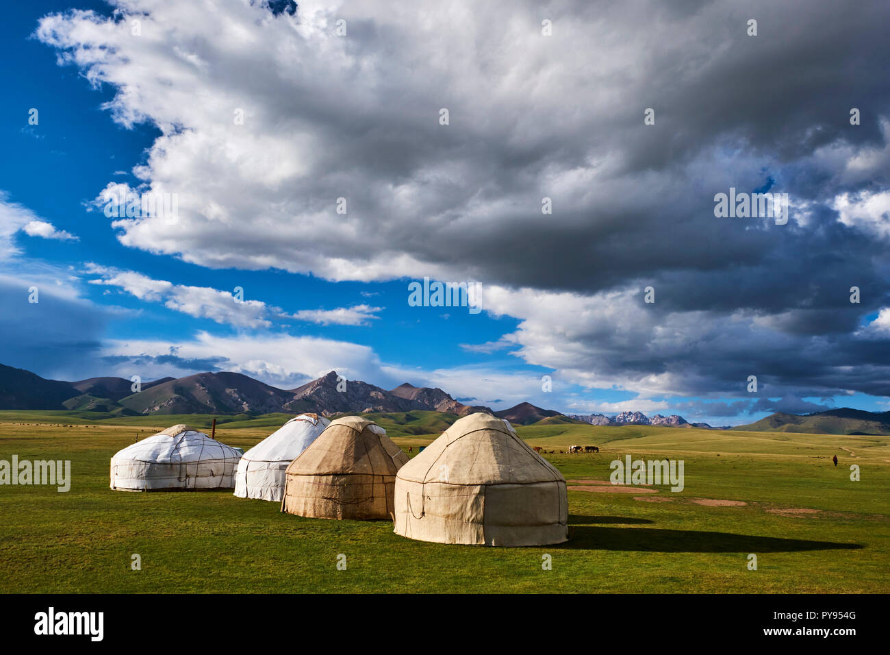 Kyrgyzstan, Naryn province, Song Kol lake, Kirghiz nomad's yurt camp ...
