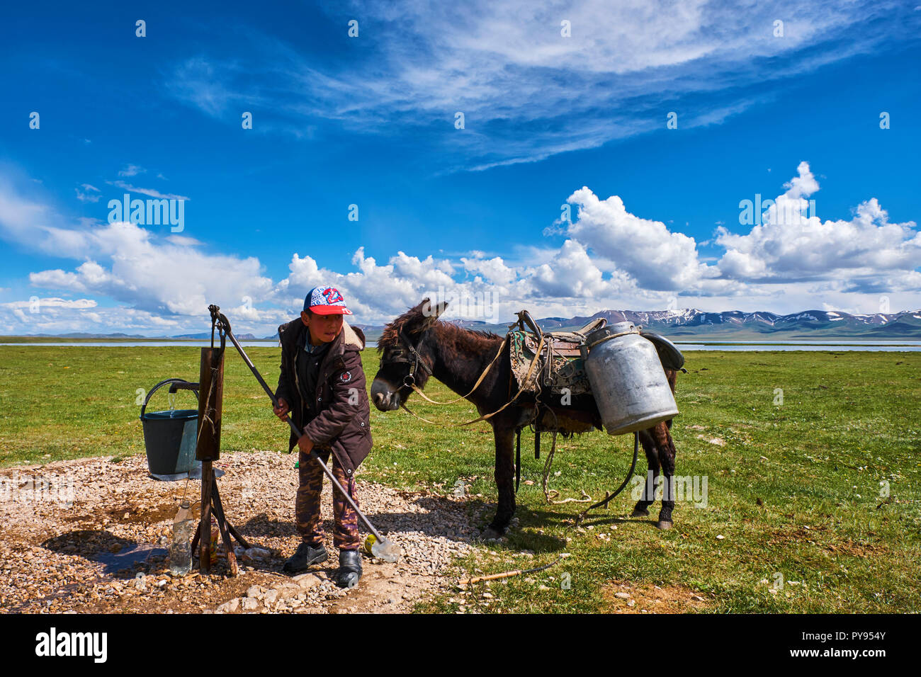 Kyrgyzstan, Naryn province, Song Kol lake, Kirghiz nomad's yurt camp ...